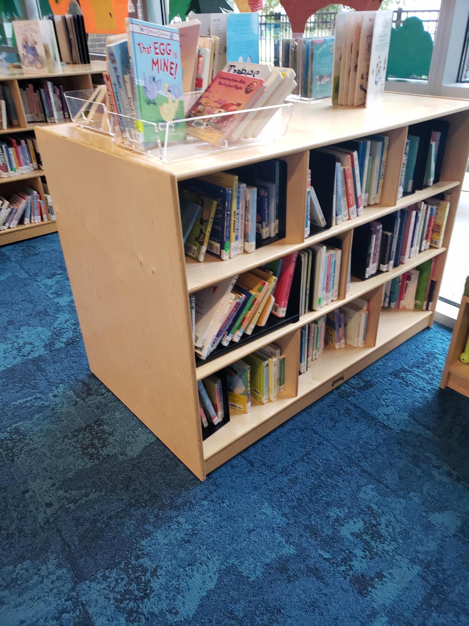 Double Sided Bookshelf on Wheels $100 | Reaching Across Illinois ...