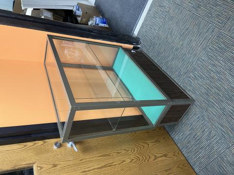 Glass Display Case | Reaching Across Illinois Library System